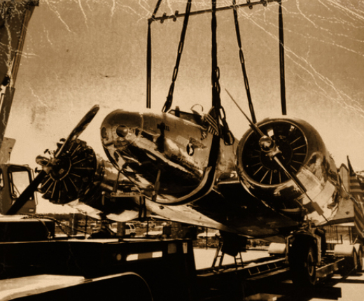 Experience Drives History